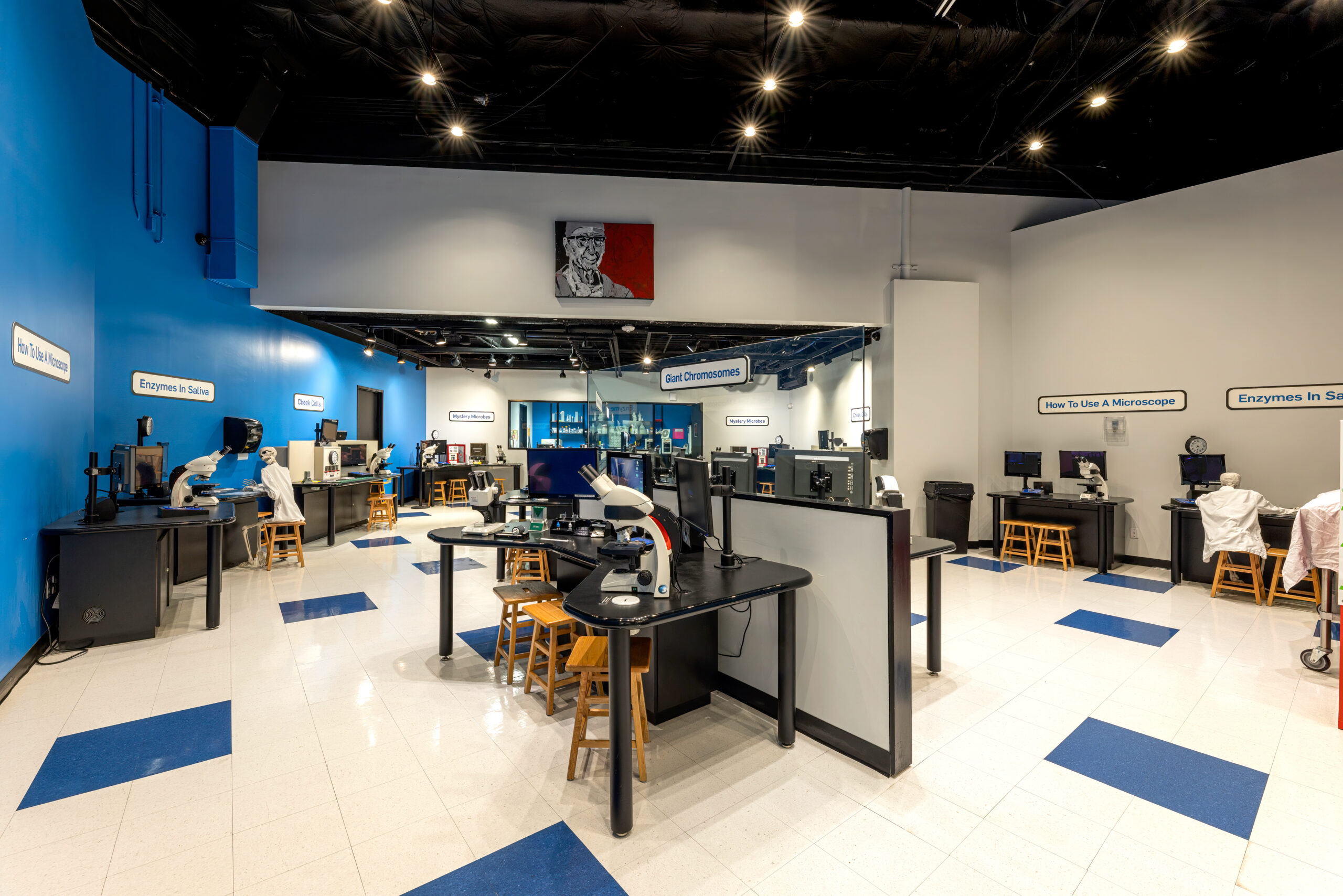 DeBakey Cell Lab - The Health Museum