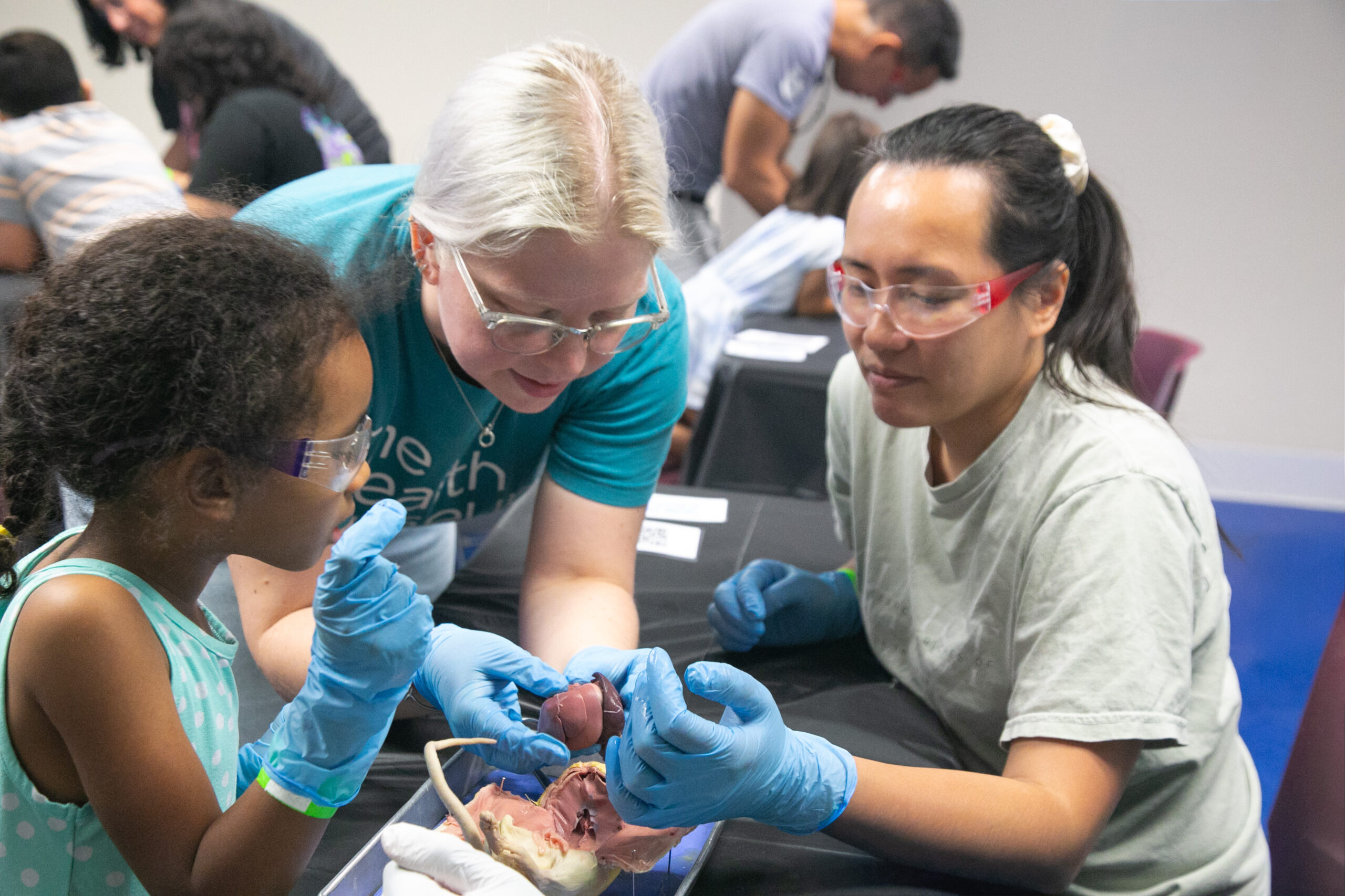 Doc Dissections - The Health Museum