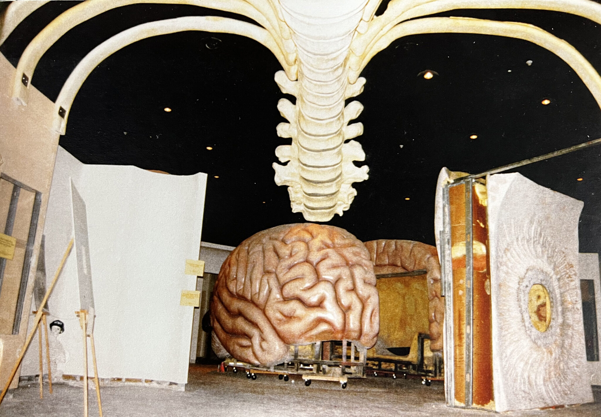 The Health Museum - History & Mission