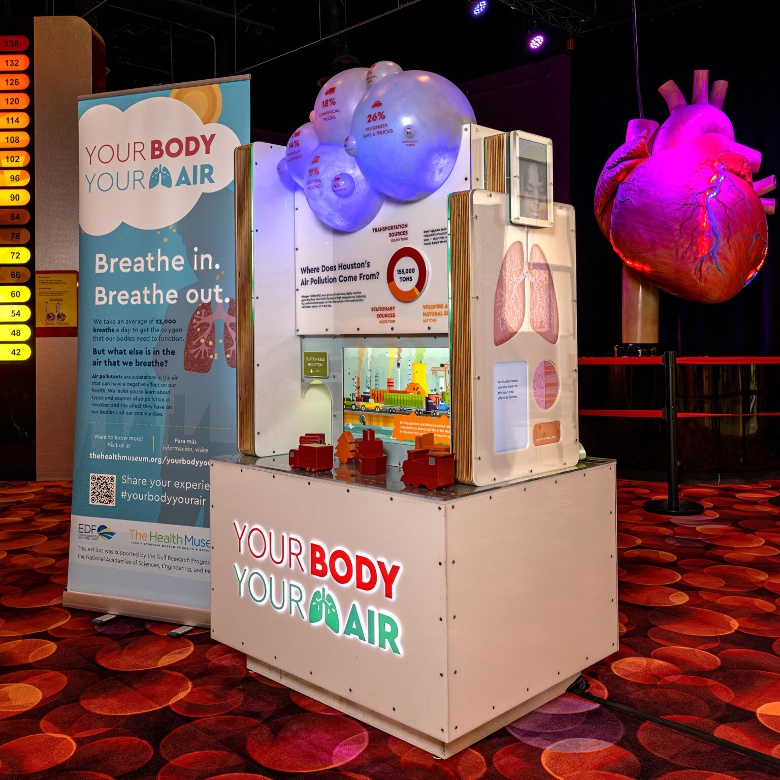 Exhibits - The Health Museum