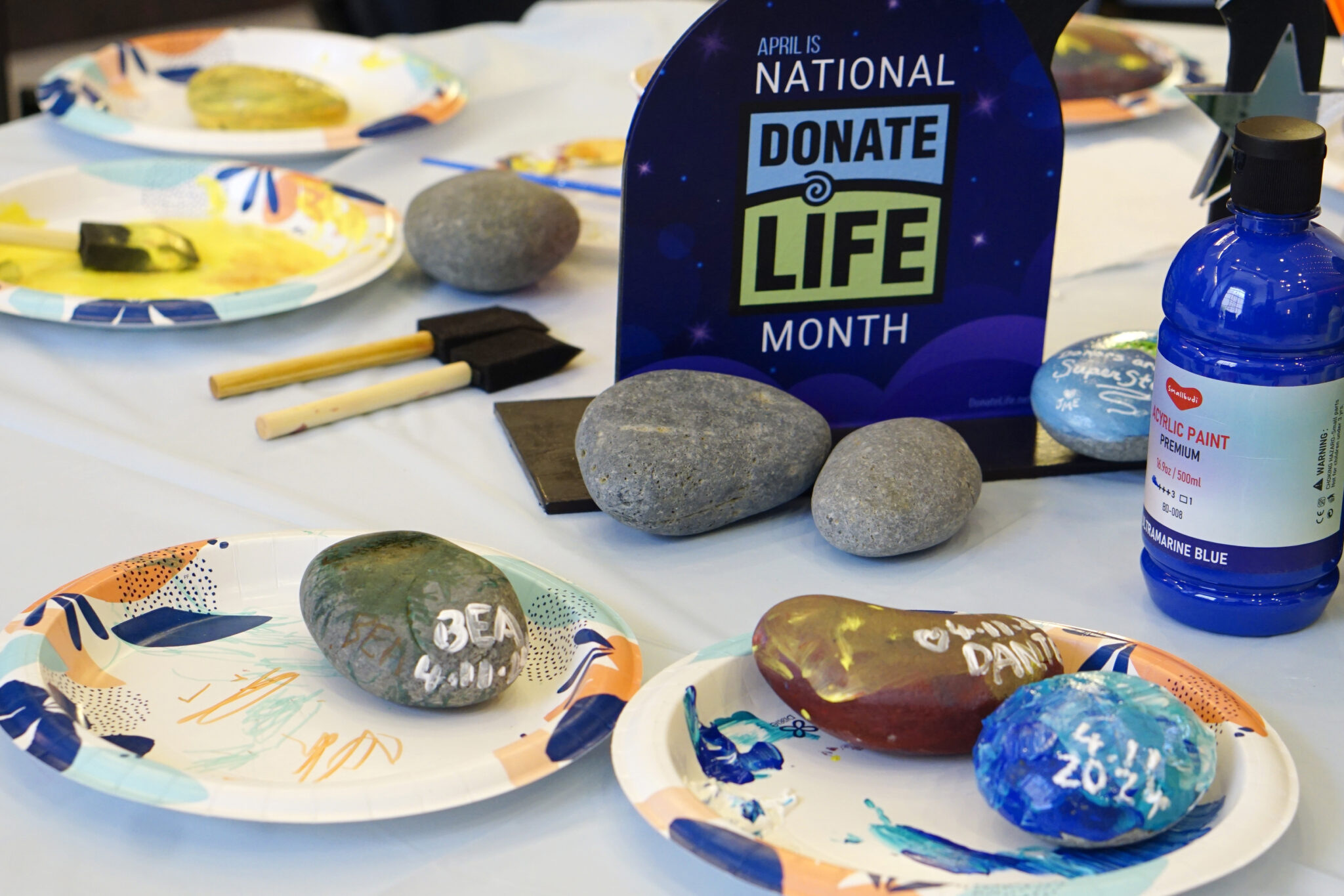 Rock Painting and Organ Donation - The Health Museum