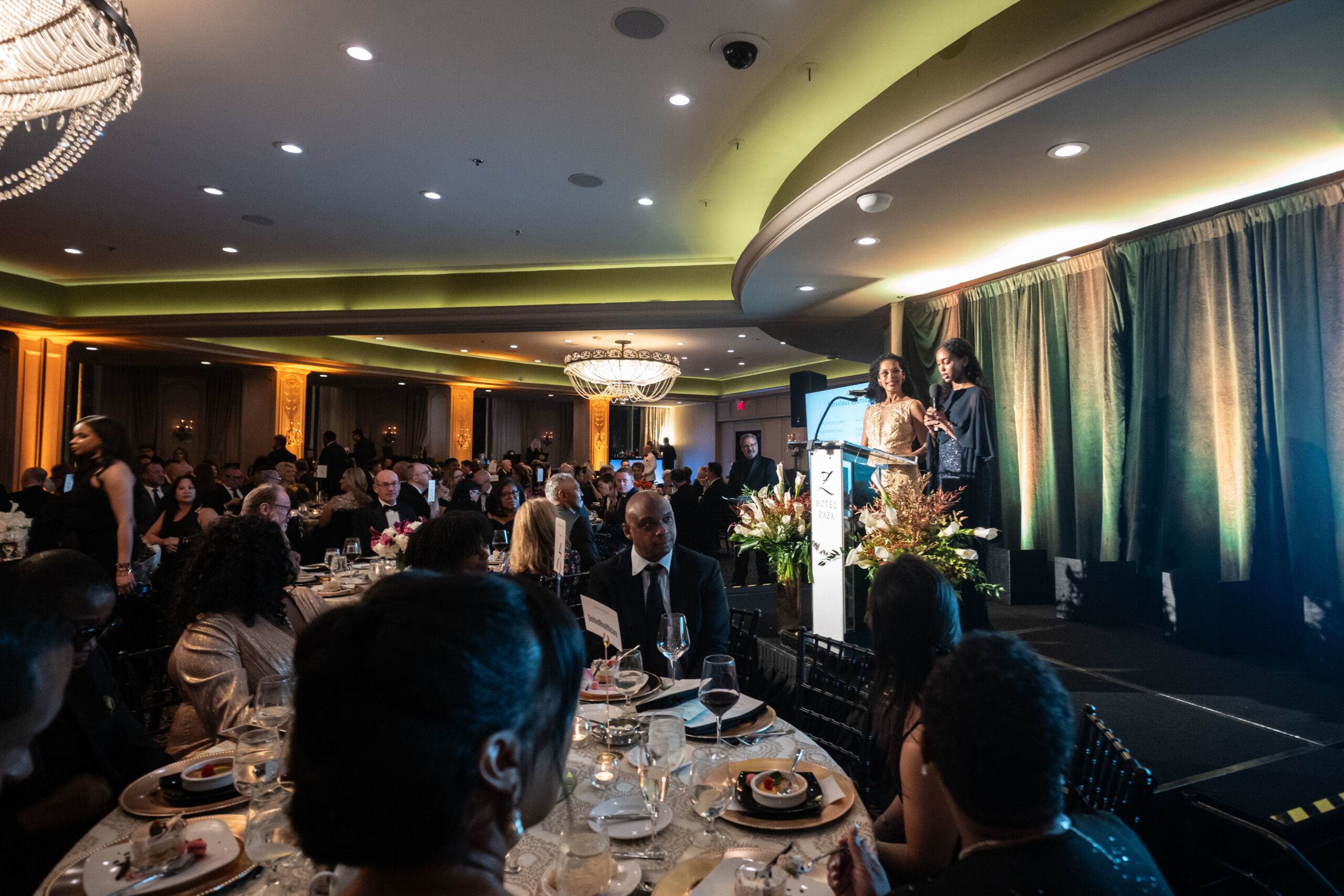 2024 Mysterious Worlds Gala - The Health Museum